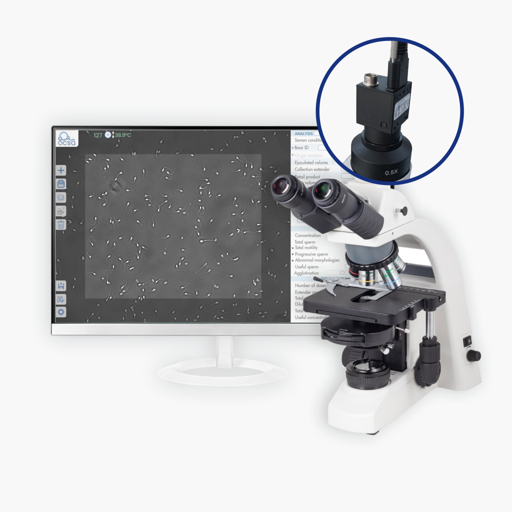 Kit tinción Diff-Quick – KUBUS